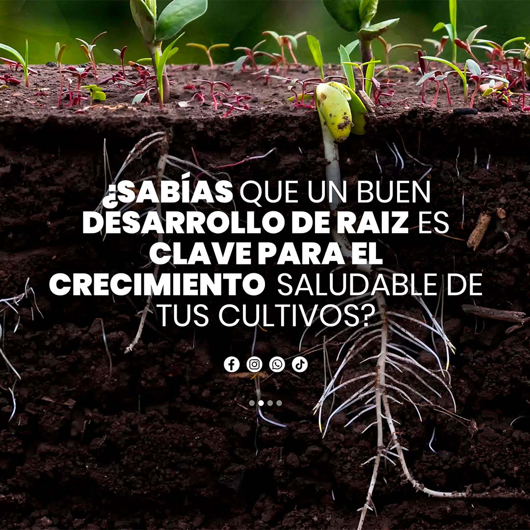 Kalan: Bioregenerador Liquido – Web Novedades Agricolas DASA