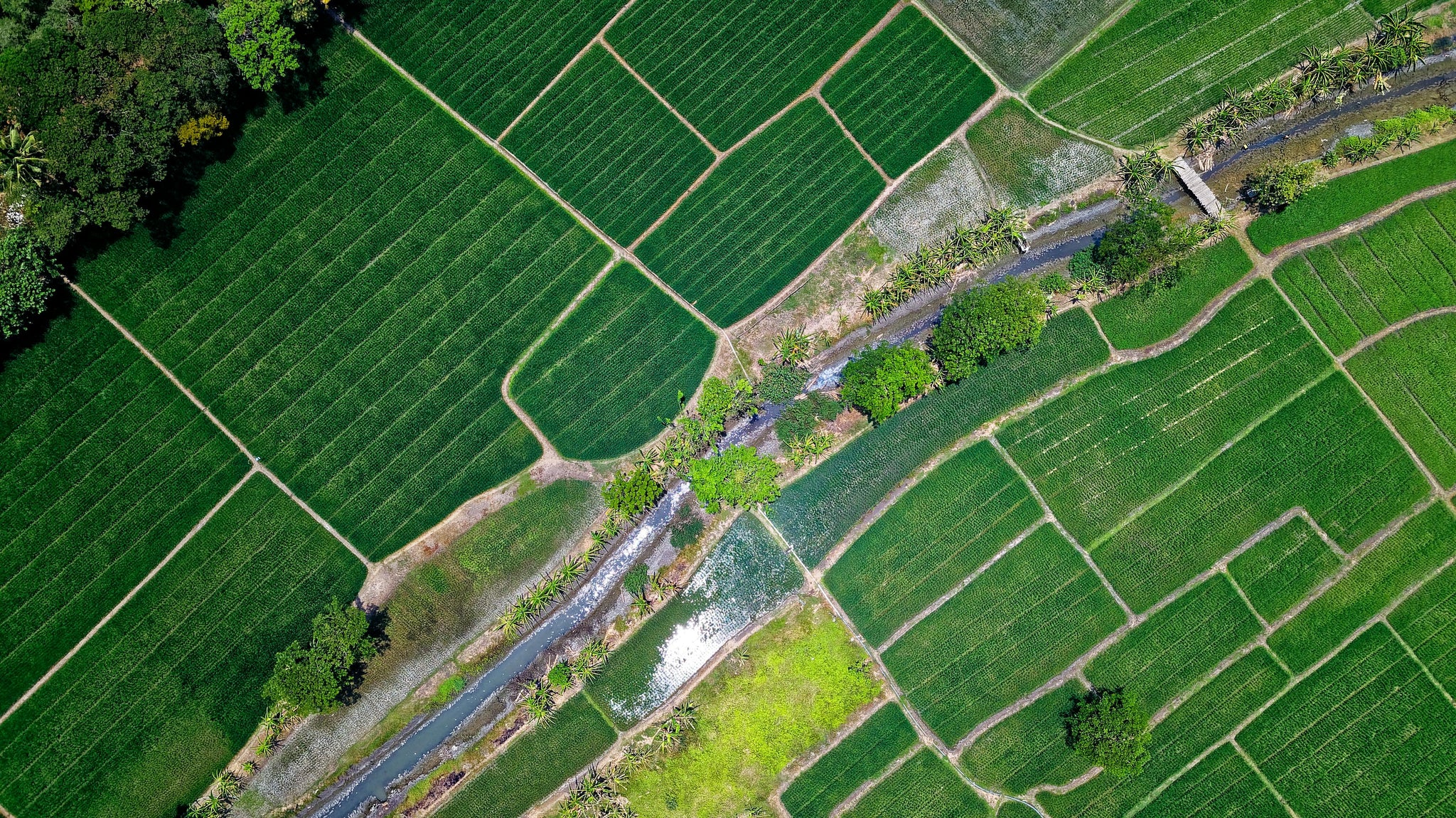 ¿Quiénes Somos? – Web Novedades Agricolas DASA