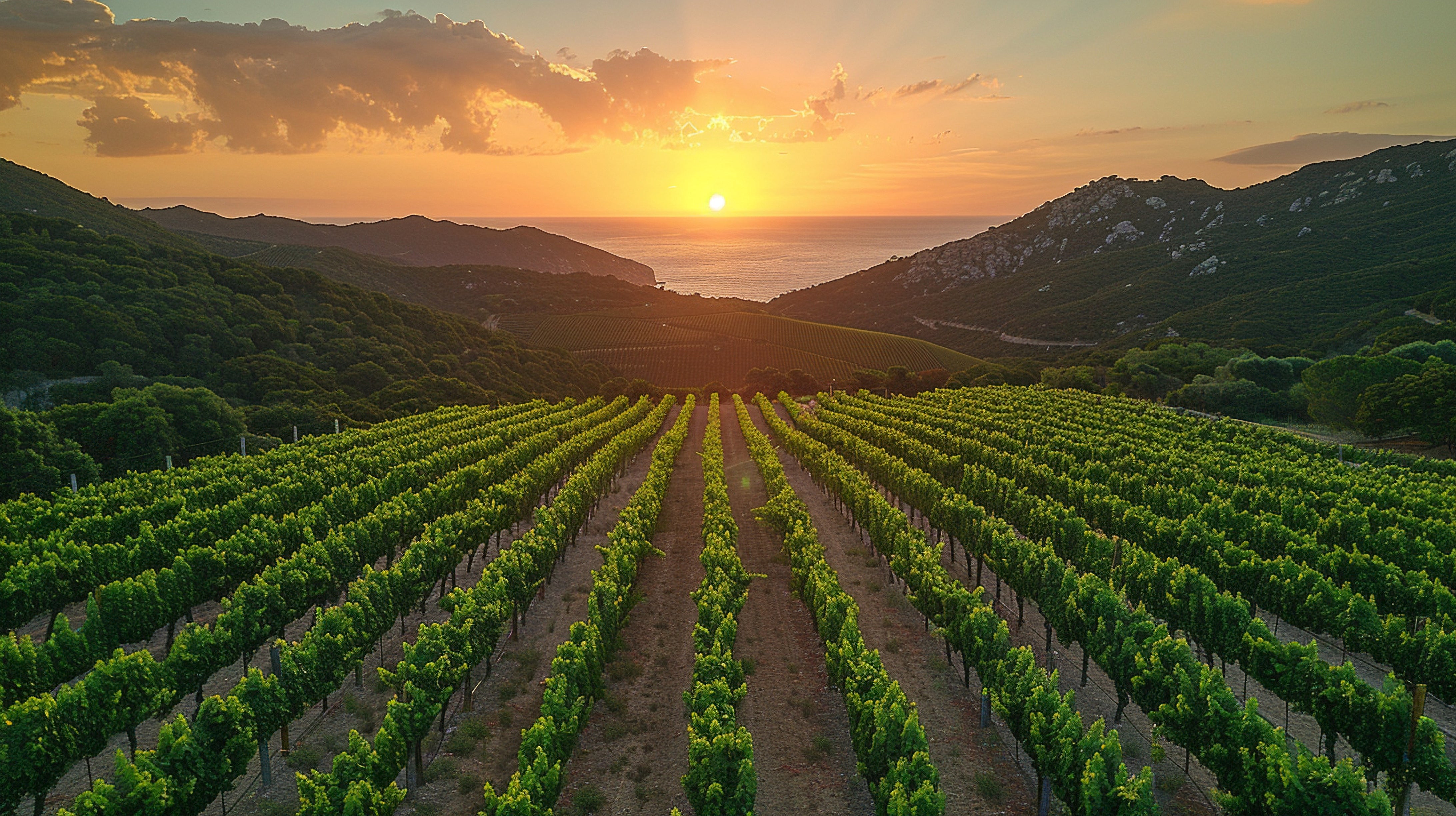 Bida: Una inversión Inteligente – Web Novedades Agricolas DASA